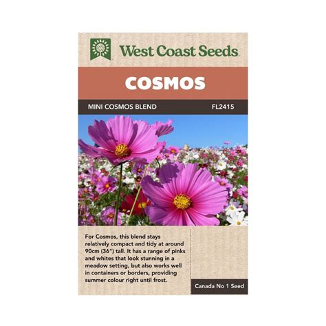 Mini Blend Cosmos Seeds
