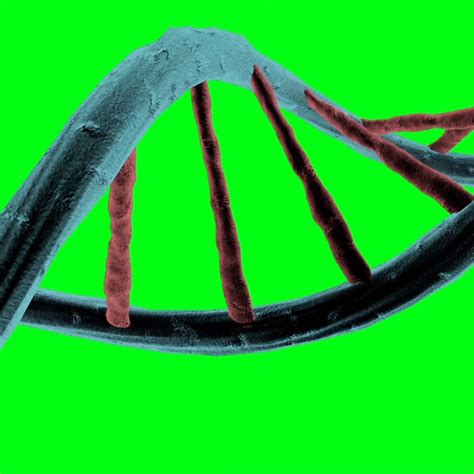 Genetic Code Dna Pixelboom
