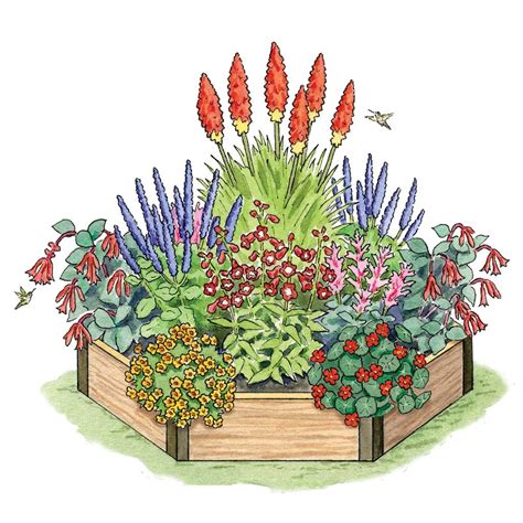 Рисунок веселая клумба 53 фото красивые картинки и Hd фото