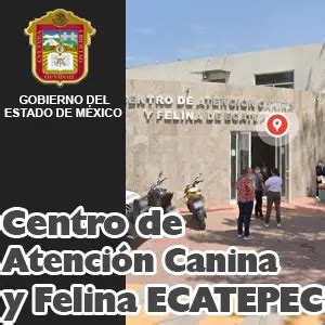 Centro de Atención Canina y Felina Ecatepec EDOMEX Adogtame Guau