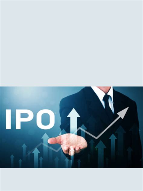 Tata Technologies Ipo Step By Step Guide To Check Your Allotment