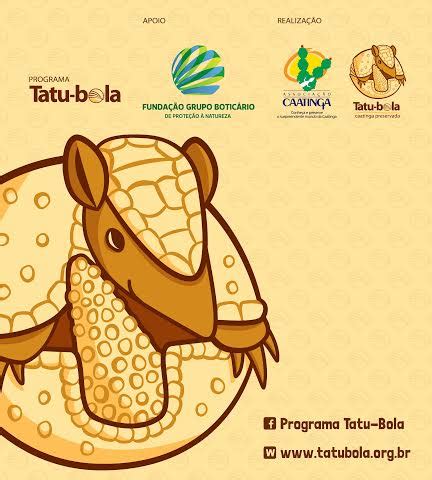 Coluna Eco News Programa de Conservação do Tatu bola será lançado em