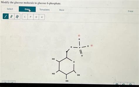 Solved Modify The Glucose Molecule To Glucose 6 Phosphate