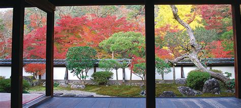 日本清酒発祥の地・奈良 日本の食の聖地巡礼・nara