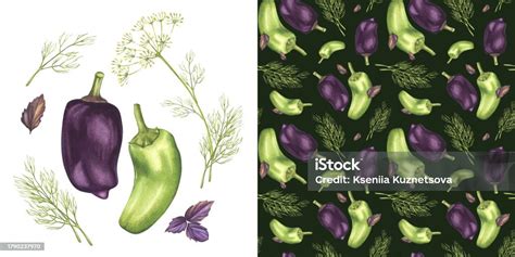 딜과 보라색 바질을 곁들인 달콤한 고추 야채와 원활한 패턴의 고립 된 그림의 수채화 세트입니다 수확 디자인 포장 배경 라벨 고추류에 대한 스톡 벡터 아트 및 기타 이미지