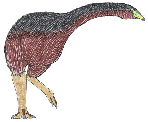 Megalapteryx Dinosaur