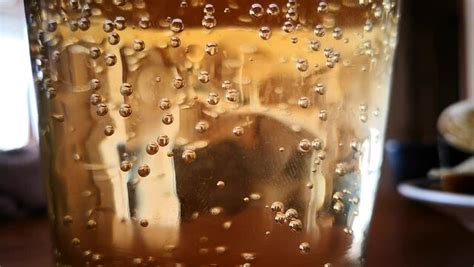 Imágenes De Ginger Ale Descubre Bancos De Fotos Ilustraciones