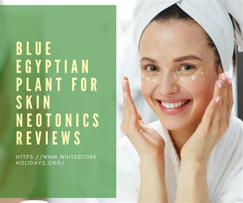 Blue Egyptian Plant For Skin Neotonics Reviews The Revolutionary