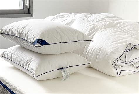 Lincroyable Lit Tediber Le Barboteur