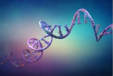 Overcoming 6 Key Challenges In Oligonucleotide Development And Testing