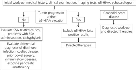 European Neuroendocrine Tumor Society Enets 2022 Guidance Paper For