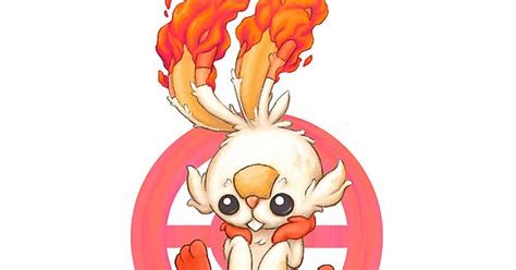 Scorbunny Album On Imgur