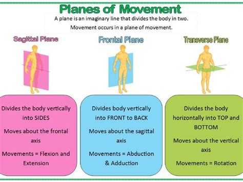Movement Analysis