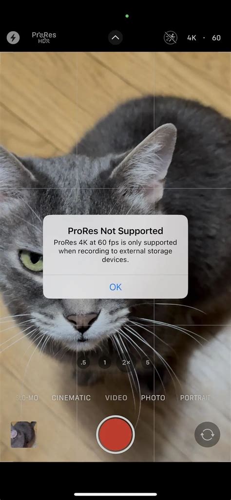 There Are New Features Hiding In Your Iphone S Camera App On Ios