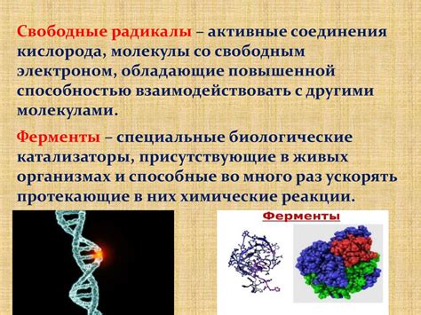 ОБЗР 9 кл Девятый урок Экология и её значение для устойчивого развития