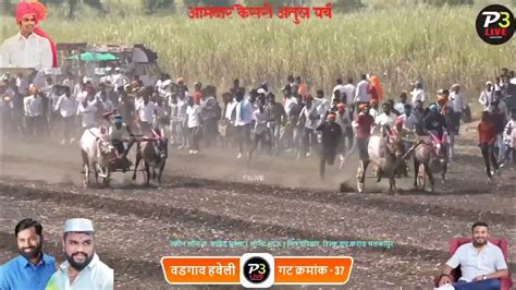 सप्त हिंदकेसरी भारत👑🚩 आणि राणा 👑🚩गट पास वडगाव हवेली मैदान बैलगाडा