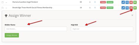 Assign Winners Pop Up Box Charityauctionstoday