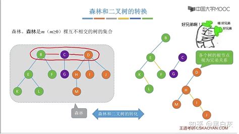 全面快速过一遍数据结构之树与二叉树 图 知乎