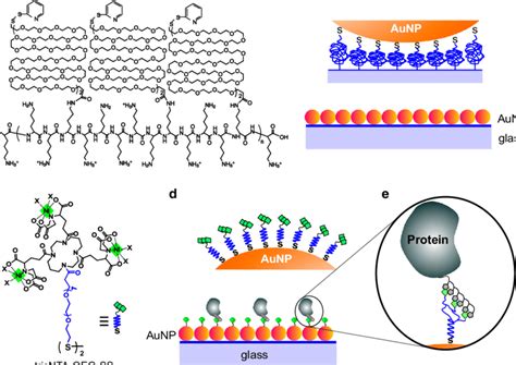 Self Assembly Of Functionalized Aunp Monolayers For Lspr Detection Of
