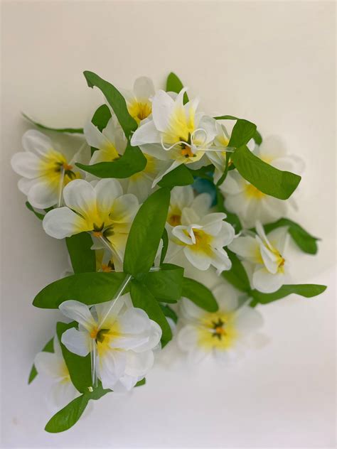 HAWAIN LEI WHITE GREEN LEAVES 1 4M EACH Evermore ZA
