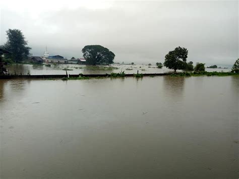 Dvb မိုးမောက်မြို့နယ်တွင် တာပိန်မြစ်ရေကြီးပြီး စပါးဧကထောင်ချီ ရေထဲနစ်မြုပ်နေ