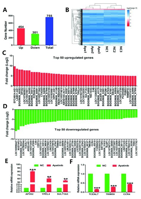 Transcriptional Profiles Of Apatinib−treated Rko Cells A The Number