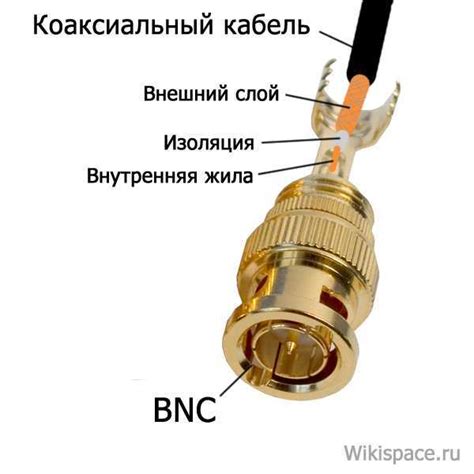 Decoding The Bnc Connector Schematic Symbol
