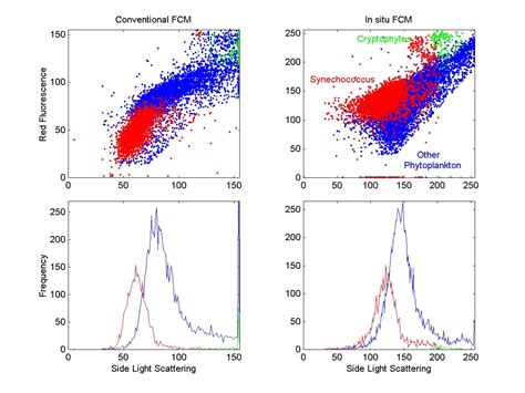 In Situ Flow Cytometer