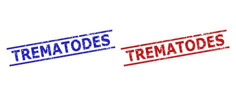 Parasite Tapeworm Flatworm Vector Images 97