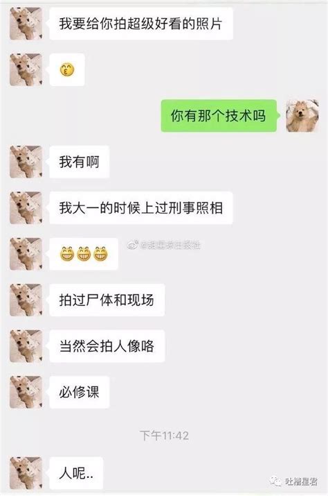 不小心在家庭群里发了成人表情包 群聊内容流出哈哈哈哈哈哈xswl 凤凰网