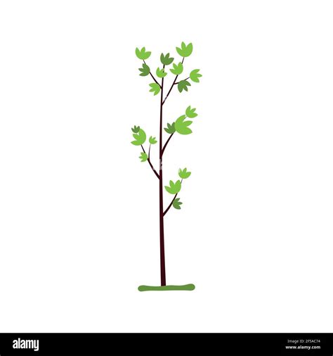 Seeds And Seedlings Seedlings Of Spring Plants Vector Illustration