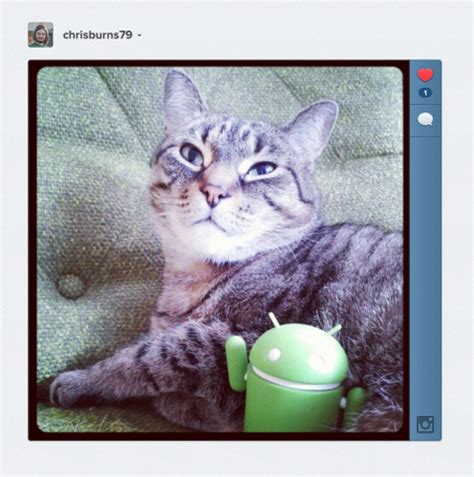 Web Based Instagram Feed Gets Public Hands On The Limits Continue