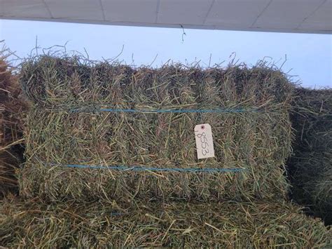 16 3rd Alfalfa Timothy Orchard Grass Mix Rogers Community Auction Inc