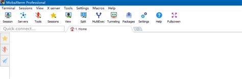 工具栏设置自定义按钮后全都不见了 Issue 5 RipplePiam MobaXterm Chinese Simplified