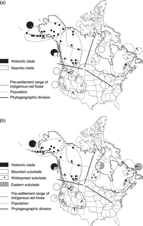 Geographic Distribution Of Cytochrome B A And D Loop B Mtdna Download Scientific Diagram