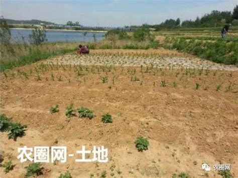 农圈网：土地确权纠纷的处理原则凤凰网