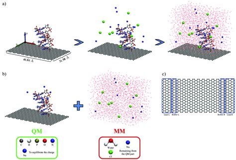 Scheme For Construction A Of The Simulated Device The Ssdna Or