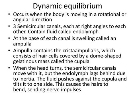 Sense Of Equilibrium