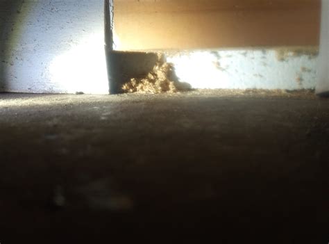 Insulation Around Base Of Wall Album On Imgur