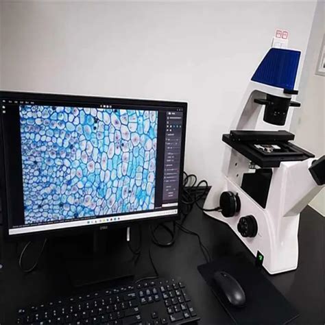 Fluorescence Biological Microscope Ml 52 Trinocular Inverted Fluorescence Microscope Afrimart