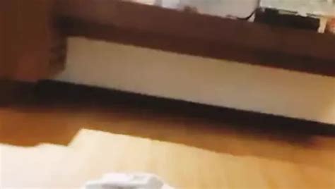 Risha Porn Videos Sex Model Nudes XHamster