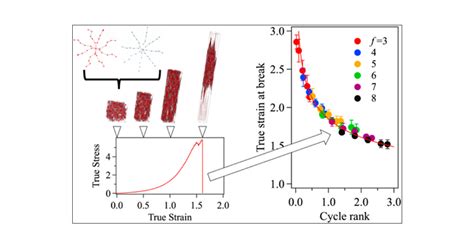 Phantom Chain Simulations For The Effect Of Node Functionality On The Fracture Of Star Polymer