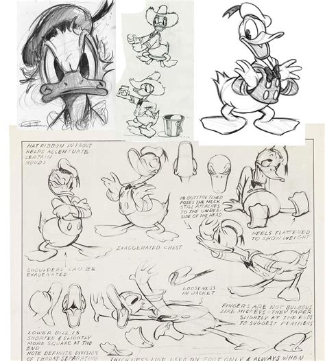 Donald Duck Drawing Reference And Sketches For Artists