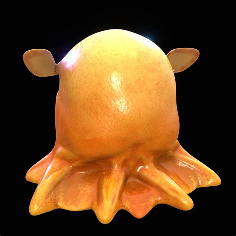 Artstation Grimpoteuthis Dumbo Octopus Ngchipv Game Assets