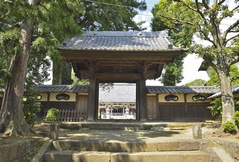 神奈川県の巨木 総世寺のカヤ