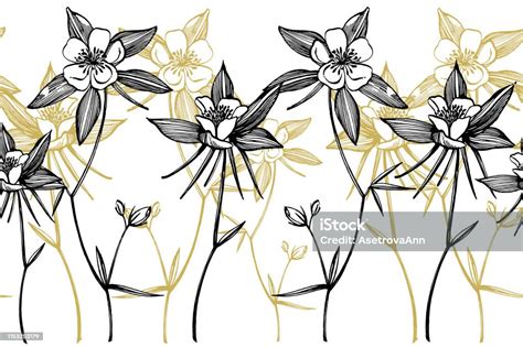 이중 콜 럼 바인 꽃 손으로 그린 꽃과 식물의 컬렉션입니다 식물학 설정 빈티지 꽃입니다 판화 스타일의 흑백 그림 완벽 한 패턴입니다 0명에 대한 스톡 벡터 아트 및 기타