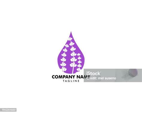 라벤더 에센셜 오일 로고 아로마 테라피 로고 라벤더 에센셜 오일 드롭 아이콘 아로마 테라피 향수 화장품 스파 로고 0명에 대한 스톡 벡터 아트 및 기타 이미지 Istock