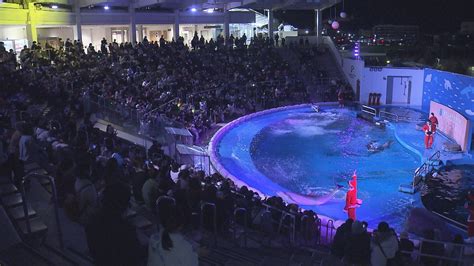 一夜限りの特別なクリスマスイベント 仙台うみの杜水族館 Khb東日本放送