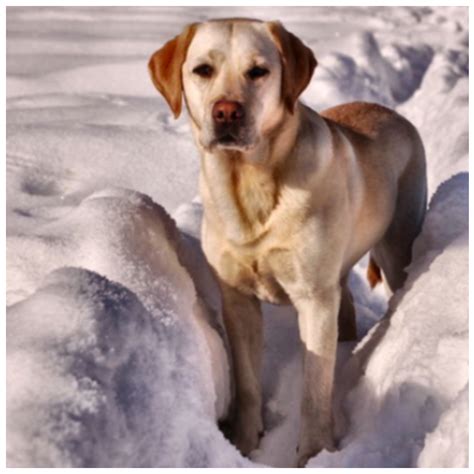 Practical And Innovative Analytics In Data Science 2 Framing The Problem And Constructing The