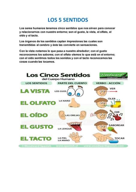 Escoger Adolescente Complaciente Cuales Son Los 5 Sentidos Del Cuerpo